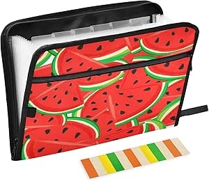 Amazon.com : VIGTRO Watermelon Slice Expanding File Folder 13 Pocket ...