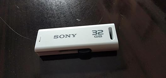 Sony Micro Vault 32GB USB Flash Drive (White) : Amazon.in: Electronics