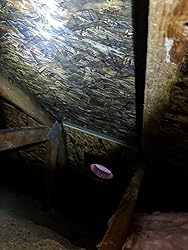 Amazon.com: MMR Professional Strength Instant Mold and Mildew Stain ...