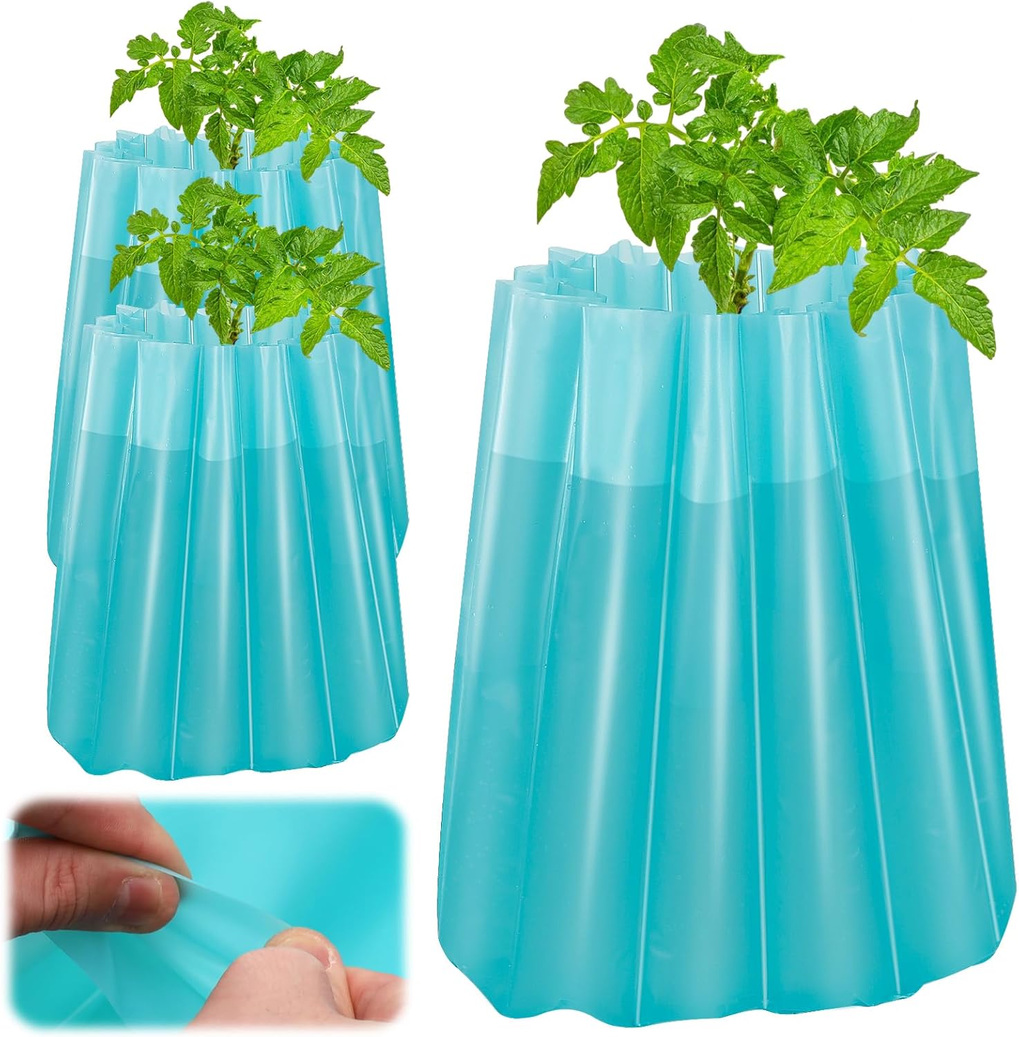 Amazon.com : TAINAT 3 PCS 6ml Thickened Insulating Plant Protector ...