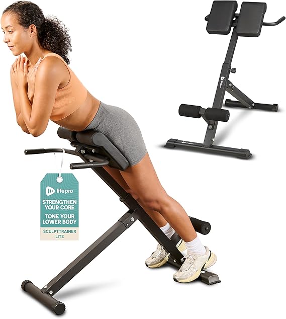 LifePro Foldable Roman Chair Hyperextension Bench & Dip Station - Multi ...