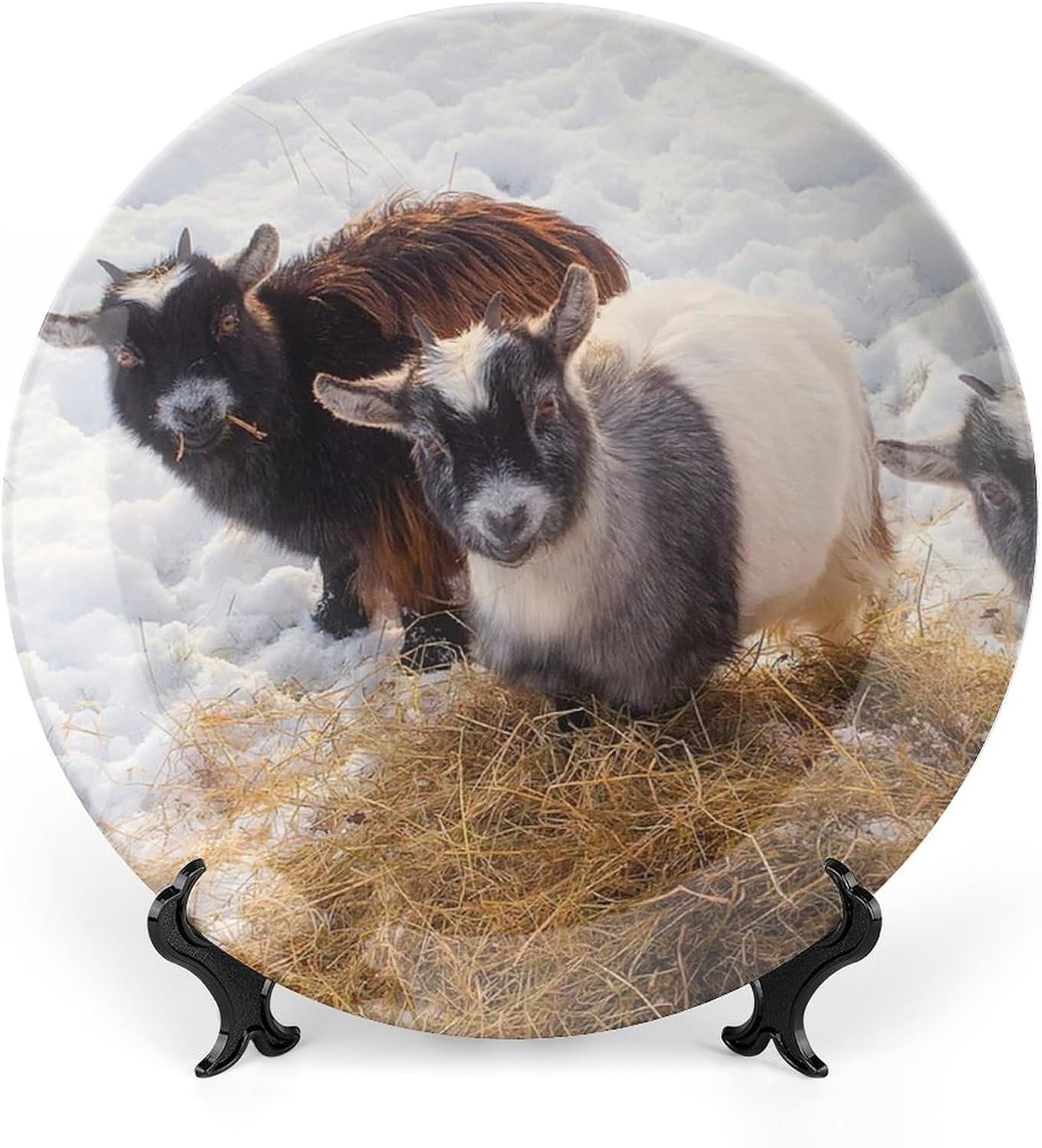 Amazon.com: Cute Goats Animals Decorative Plate for Wall Ceramic Home ...