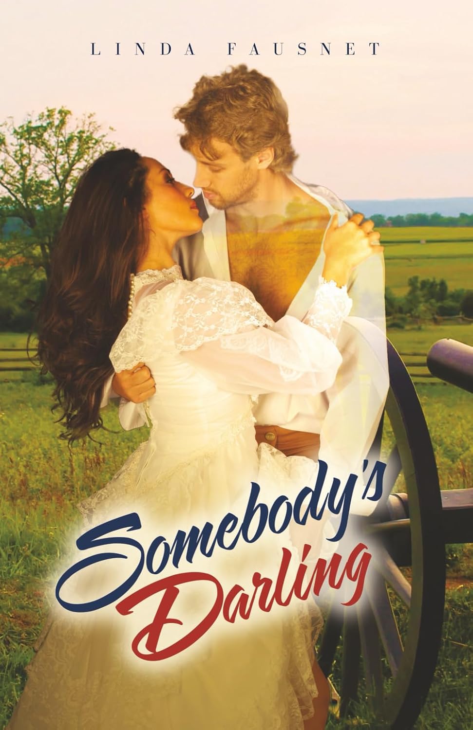 Somebody's Darling (The Gettysburg Ghost Series): Fausnet, Linda ...