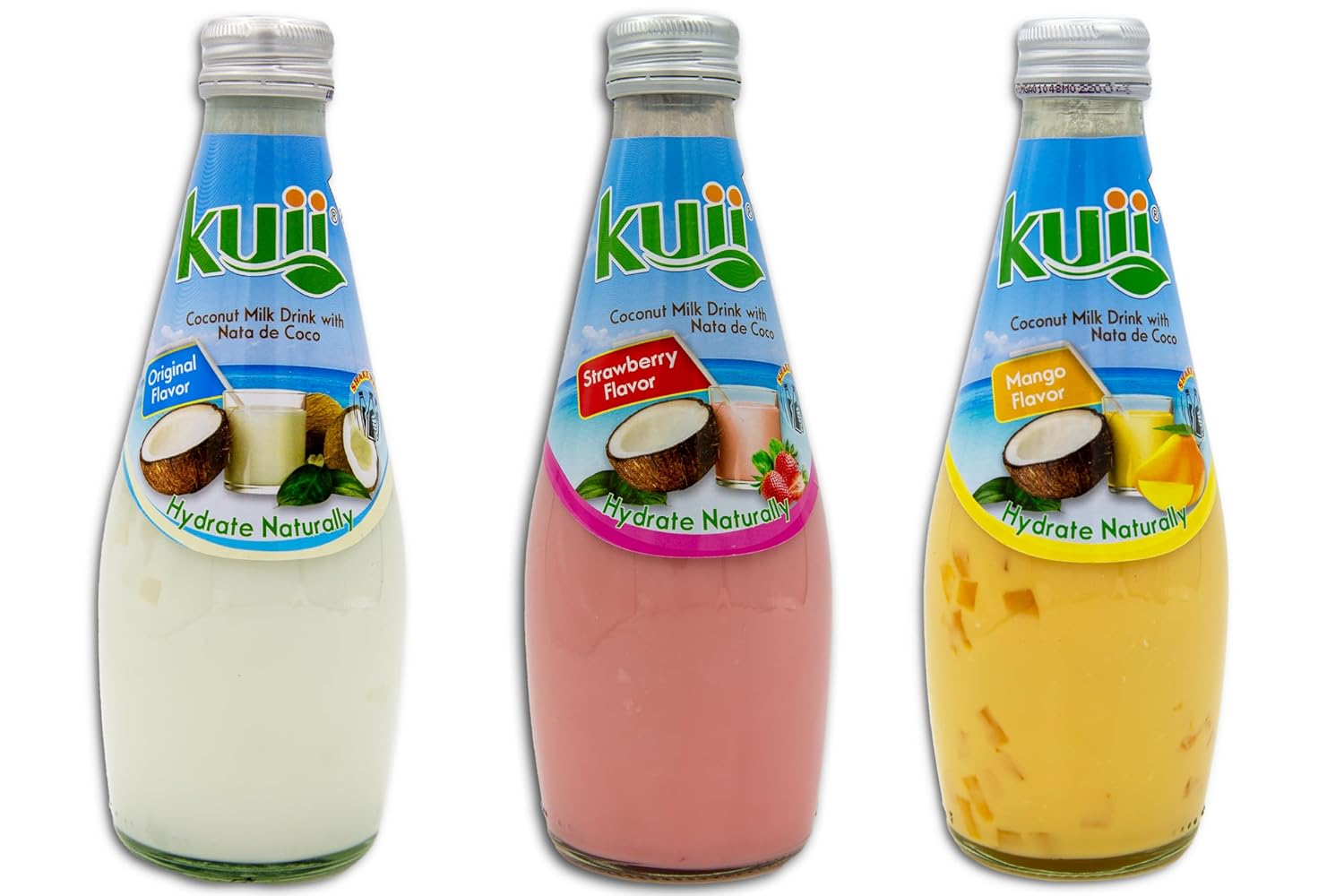 Amazon.com: SAMPLER Coconut Milk Drink With Nata de Coco Bundle - KUII Coconut Milk Drink with ...