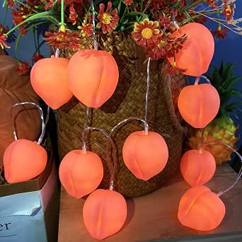 Amazon.com: Sezrgiu Peach String Lights,Peach Decor Night Light Battery ...
