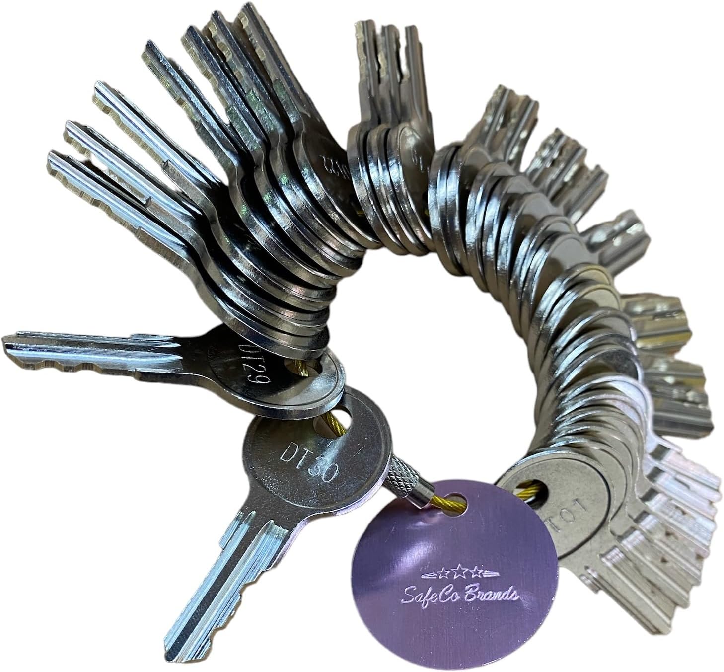 Detex ECL230 Keys - Amazon.com