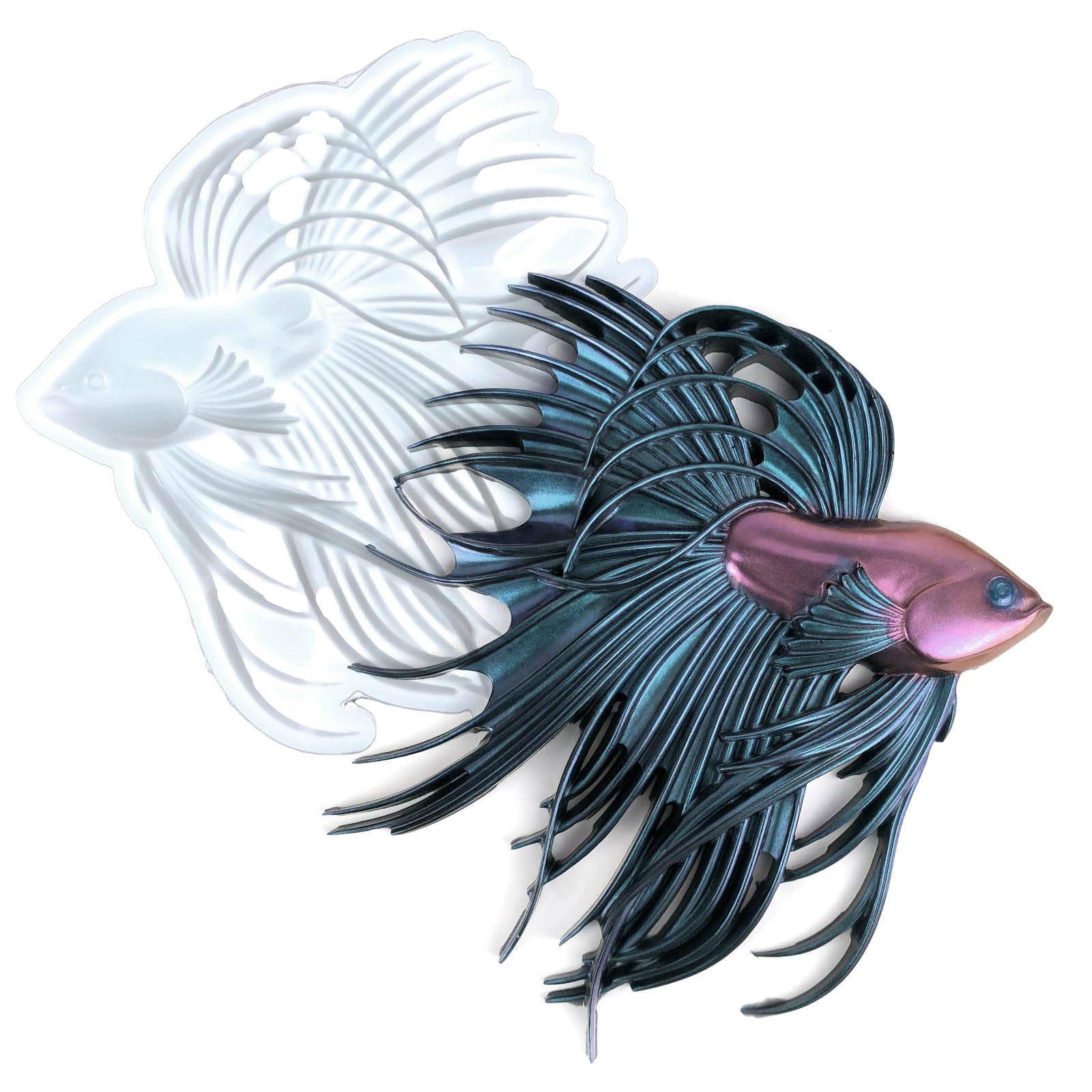 Largest Betta Fish