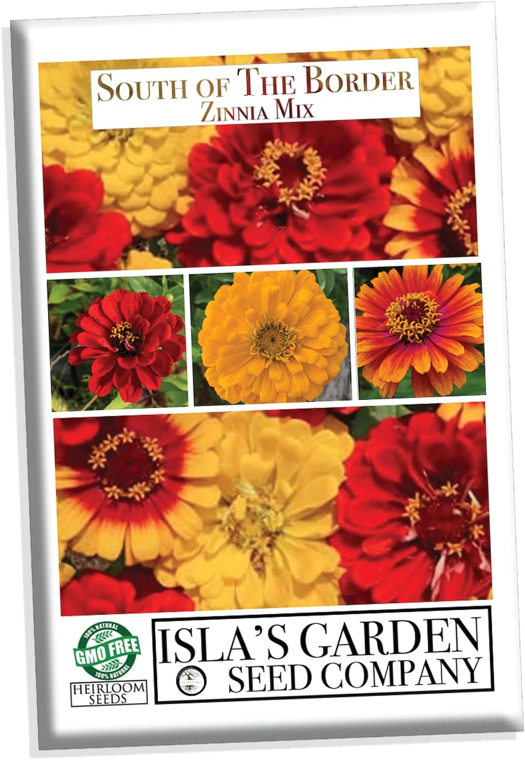 Amazon.com : South of The Border Mix Zinnia Seeds (Zinnia elegans ...