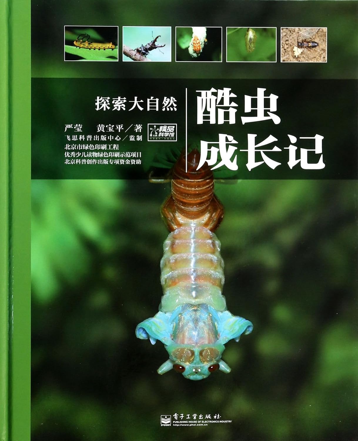 Amazon.com: Cool insect growth record - explore nature(Chinese Edition ...