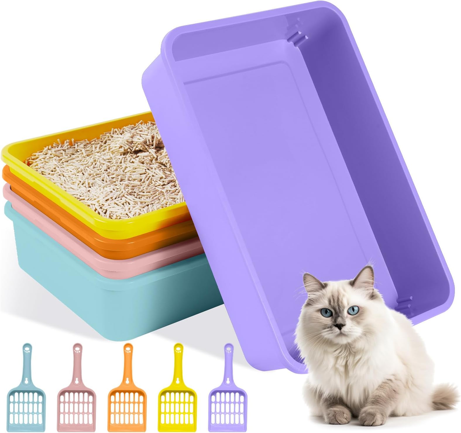 Amazon.com : Van Ness Pets Extra Small Open Cat Litter Box, Kitten ...