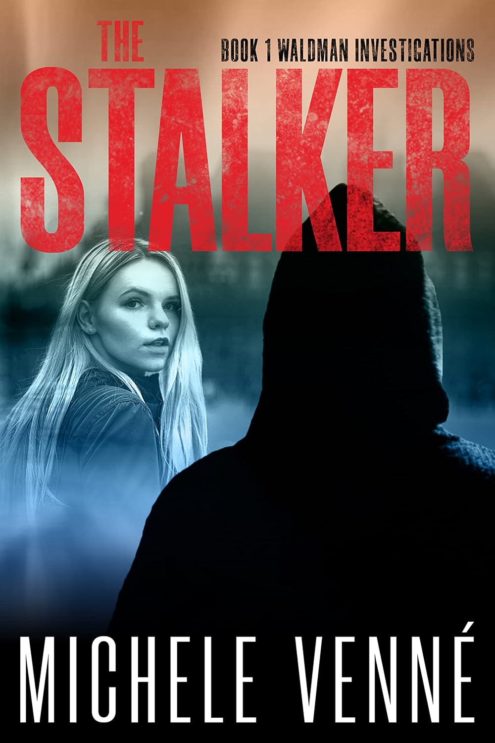 The Stalker: Book 1 Waldman Investigations (A Private Investigator ...