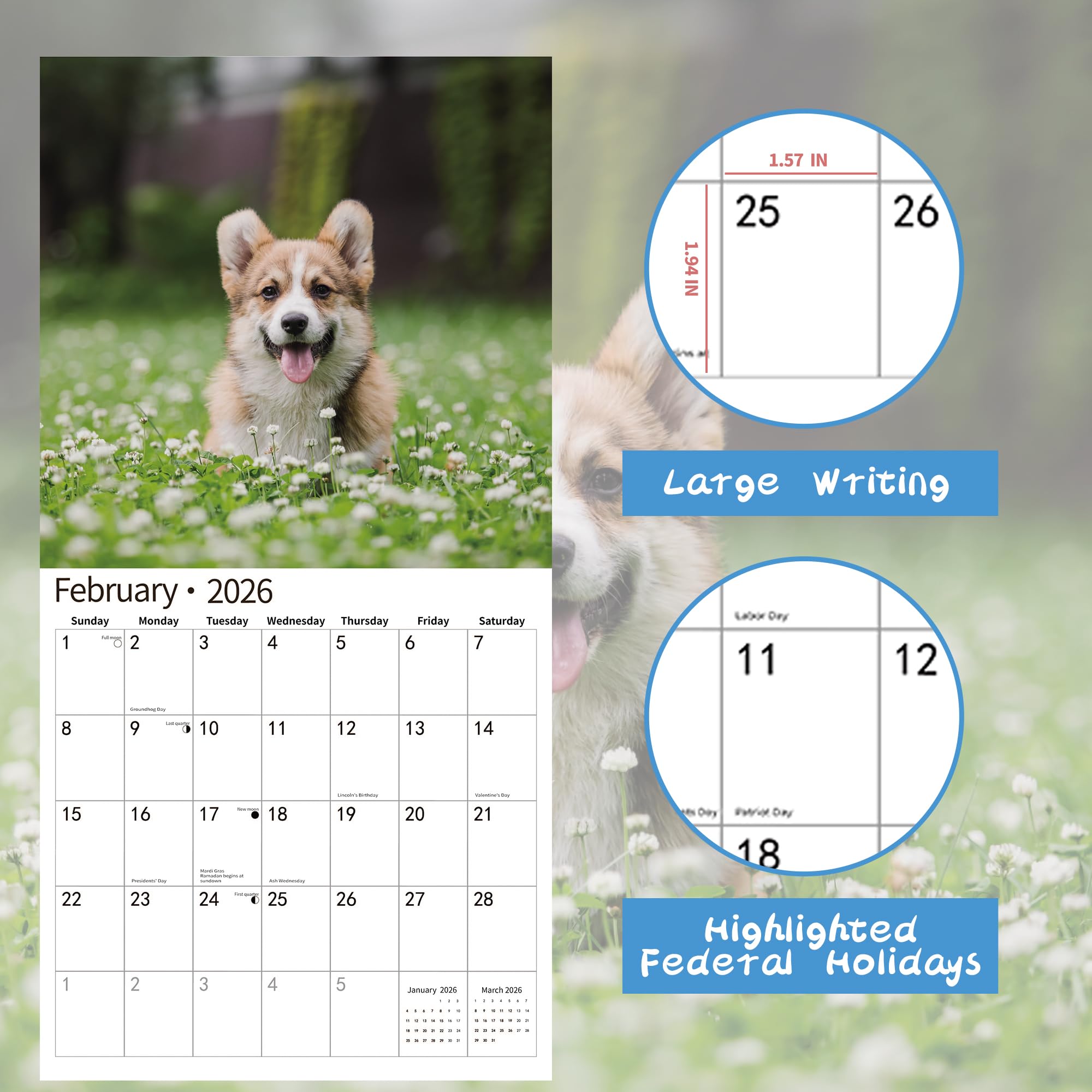Snapklik.com : 2026 Wall Calendar,Calendar 2026, November 2025 ...
