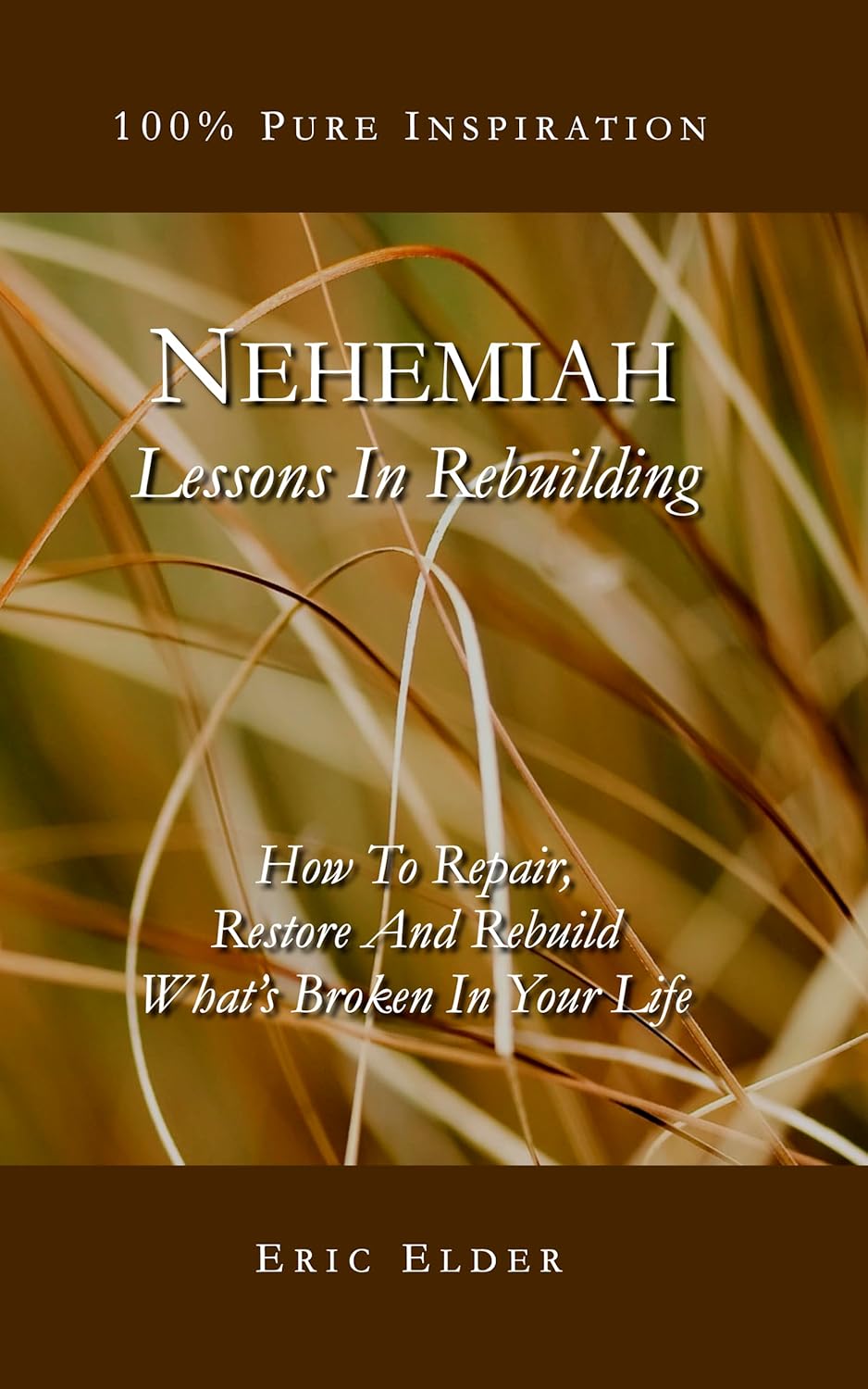 Nehemiah: Lessons In Rebuilding: How To Repair, Restore And Rebuild ...