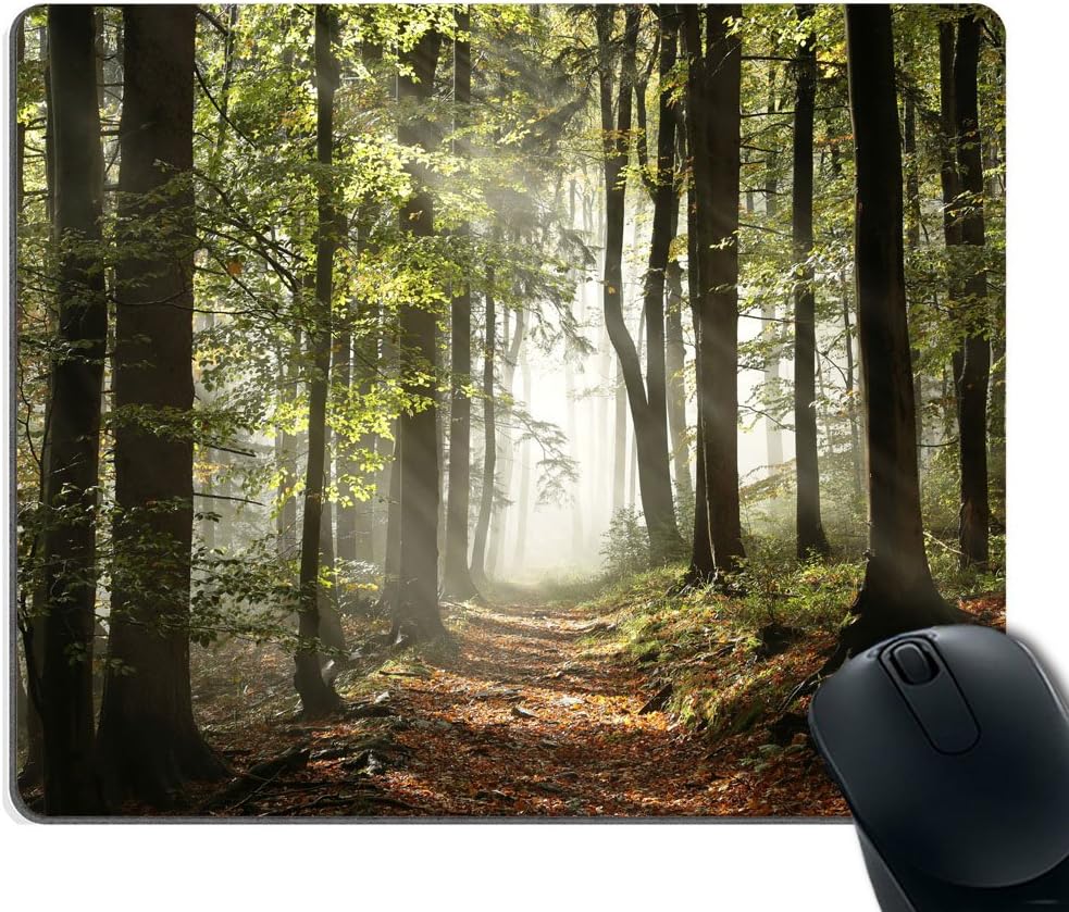 Amazon.com : Smooffly Gaming Mouse Pad Custom,Autumnal Pathway in The ...