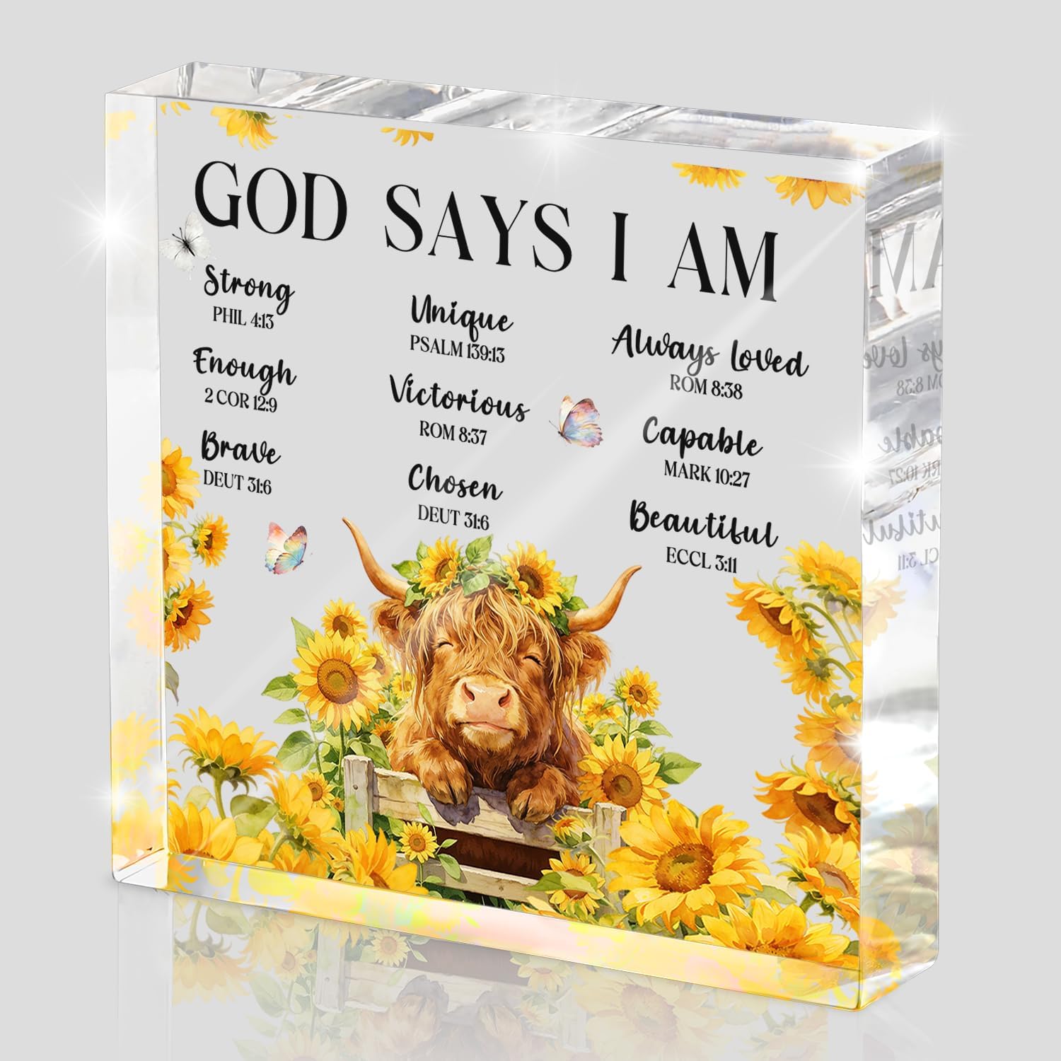 Amazon.com: Inspirational Highland Cow Christian Acrylic Sign - God ...