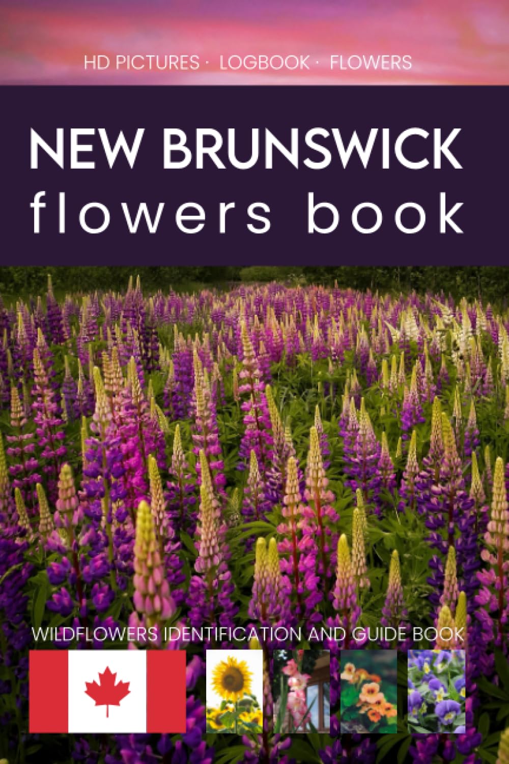 Purple Perennial Flowers Identification Guide 45 Purple Perennial