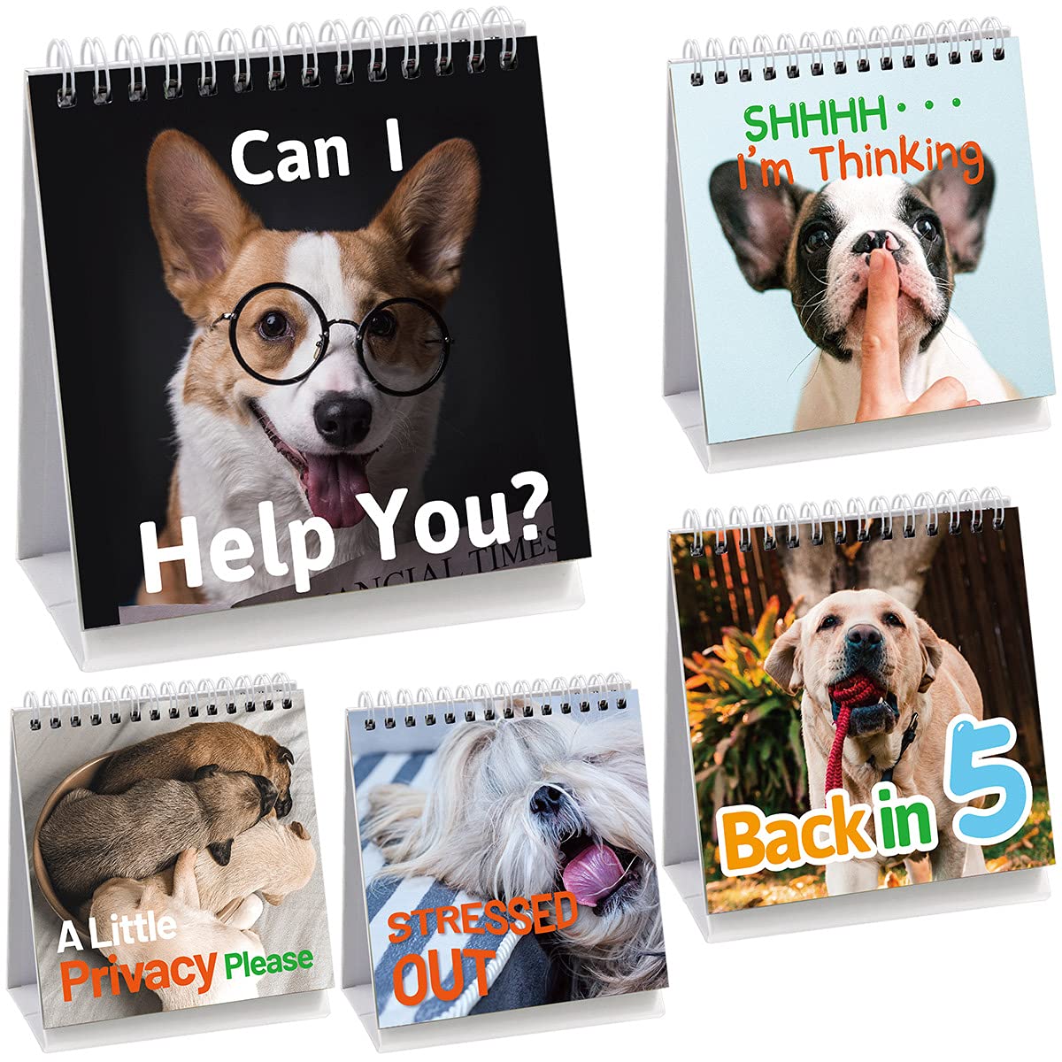 Snapklik.com : Funny Desk Signs For Dog Lovers 30 Different Fun And ...