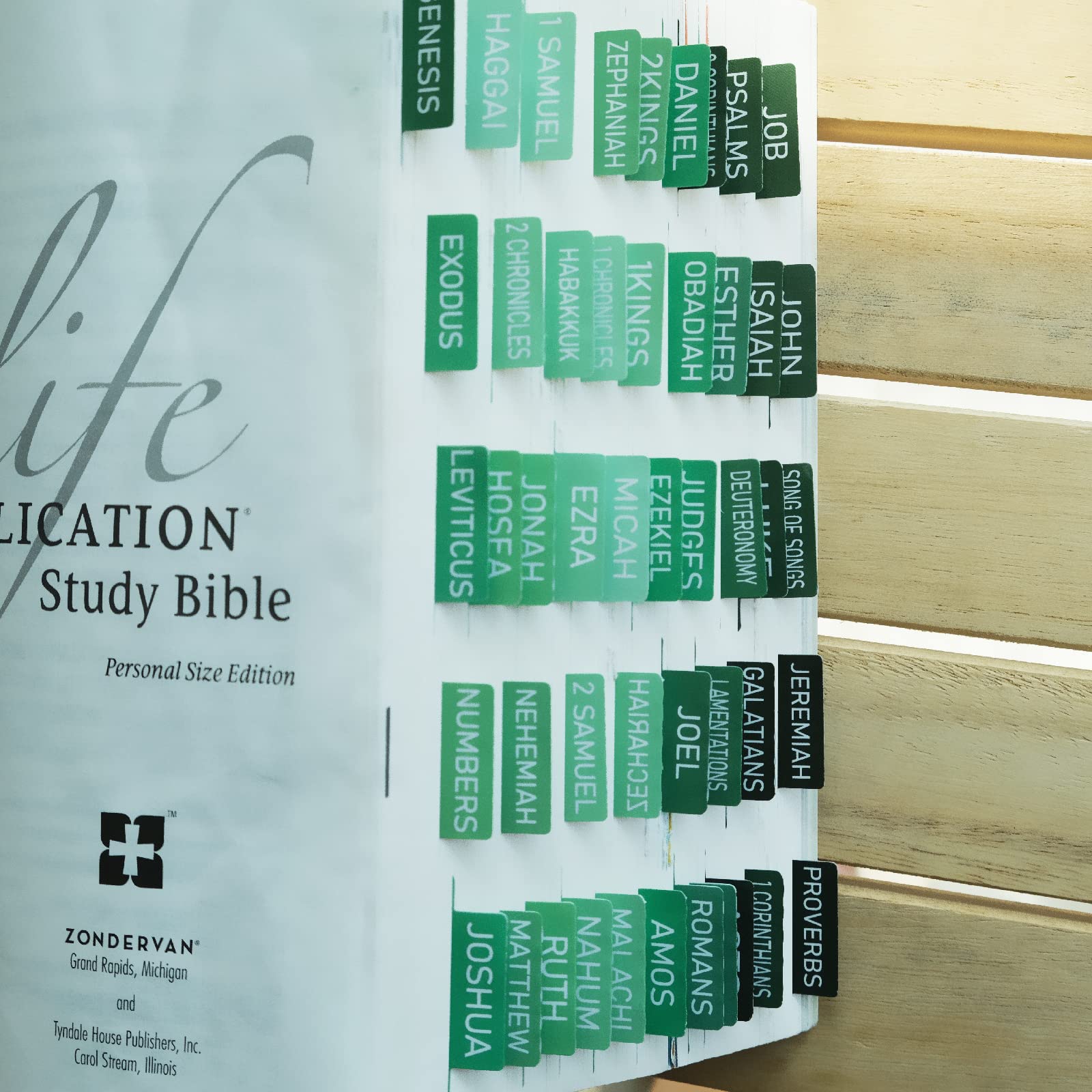 Snapklik.com : Green Palette Bible Tabs Glossy Index Tab New Old ...