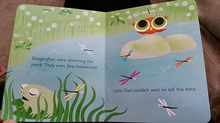 Little Owl's Day: Srinivasan, Divya: 9781101997093: Amazon.com: Books