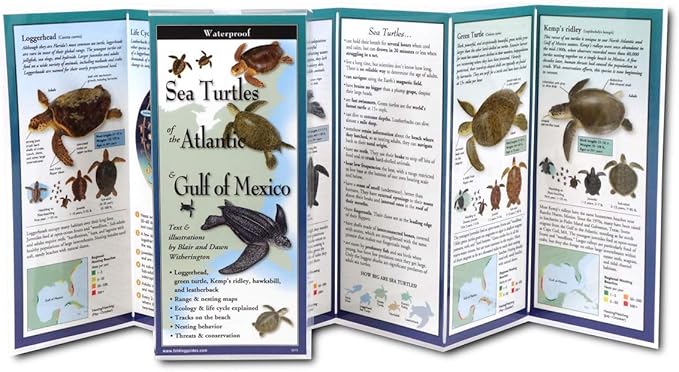 Amazon.com: Earth Sky + Water FoldingGuide™ - Sea Turtles of the ...