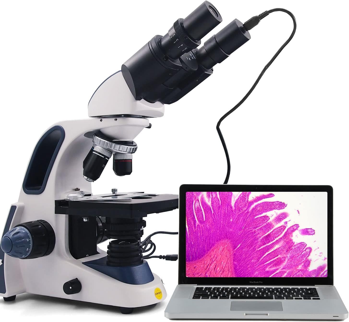 Amazon.com: Swift Brinocular Compound Microscope SW380B,40X-2500X ...