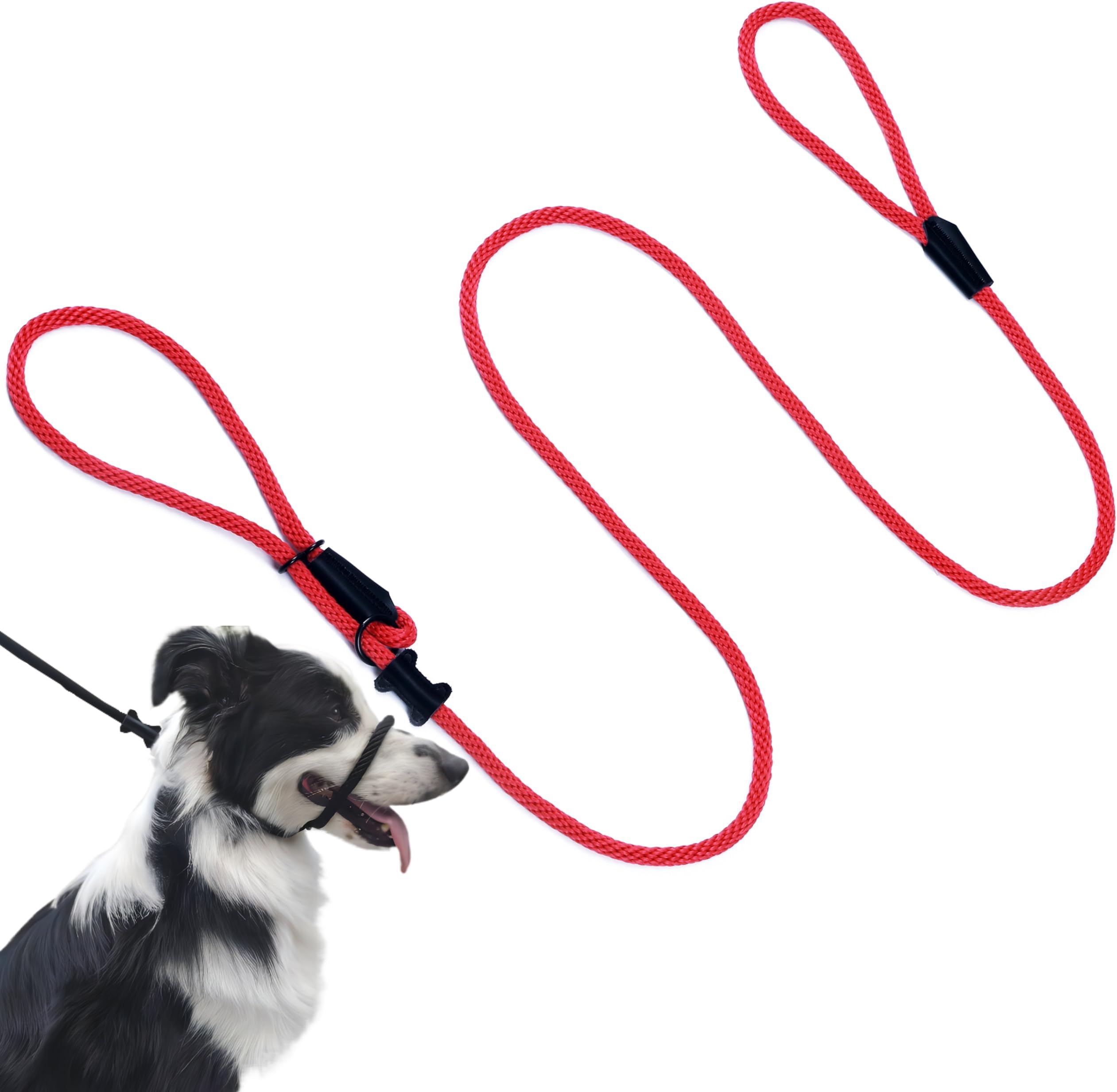 Amazon.com : Not So Fast Rover No-Pull Dog Leash/Head Halter/Head ...