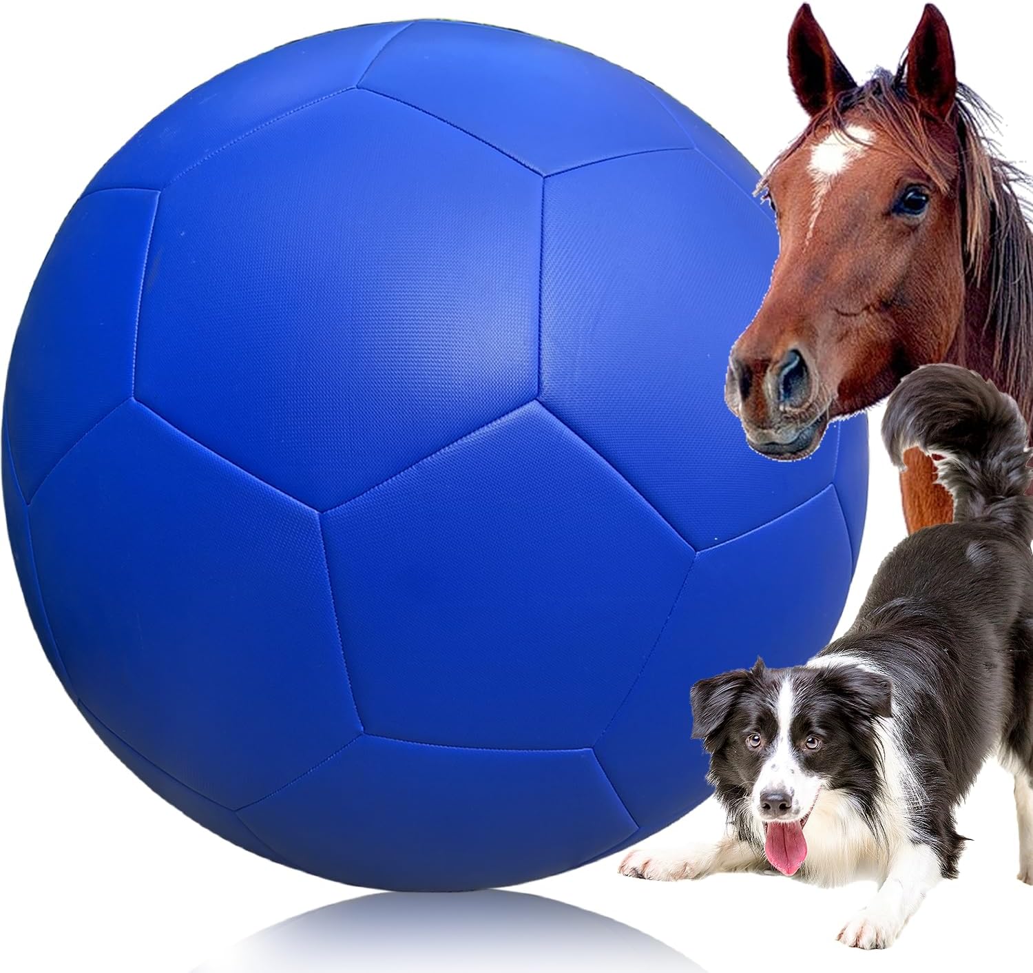 Pet Supplies : FOMAOGO Herding Ball for Dogs, 25" Collie Ball for Blue ...