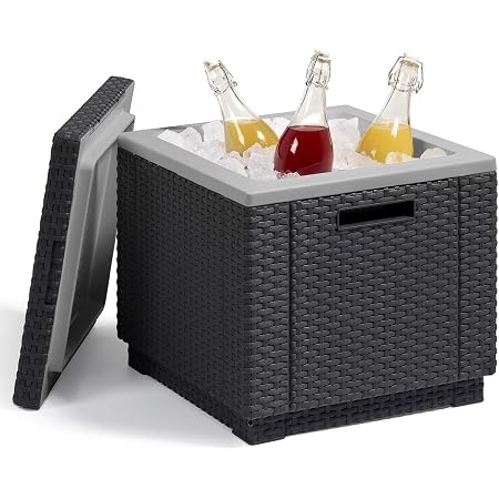 Amazon.com : Keter Go Bar 4.2 Gallon Beer and Wine Cooler with Handle ...