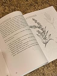 Amazon.com: Herbalism Coloring Book: 30 Medicinal Herbs to Color ...