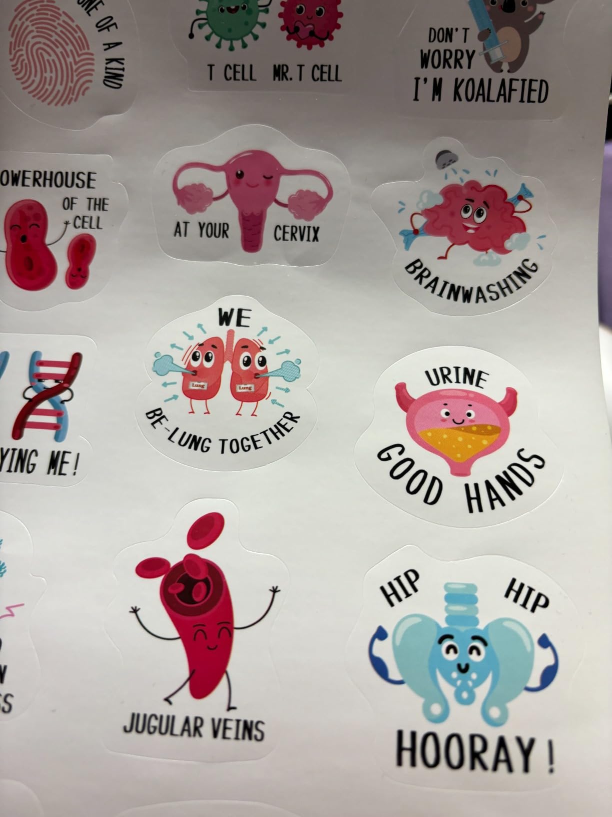 Amazon.com: Motiskyy 720 Pcs/ 20 Sheets Pun Nursing Stickers Funny ...