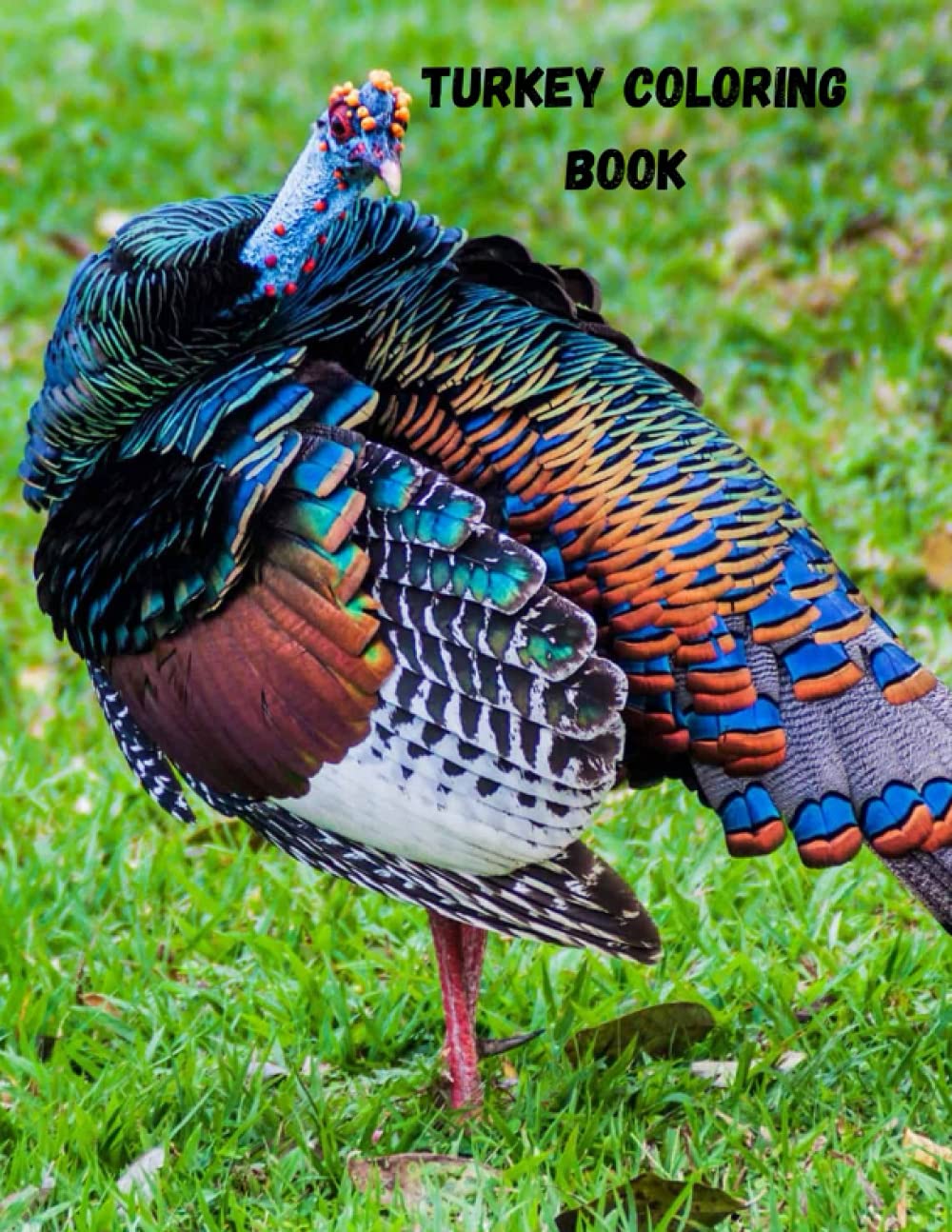 Buy Turkey Coloring Book A Collection Of Fun And Easy Thanksgiving Day buy-turkey-coloring-book-a-collection-of-fun-and-easy-thanksgiving-day