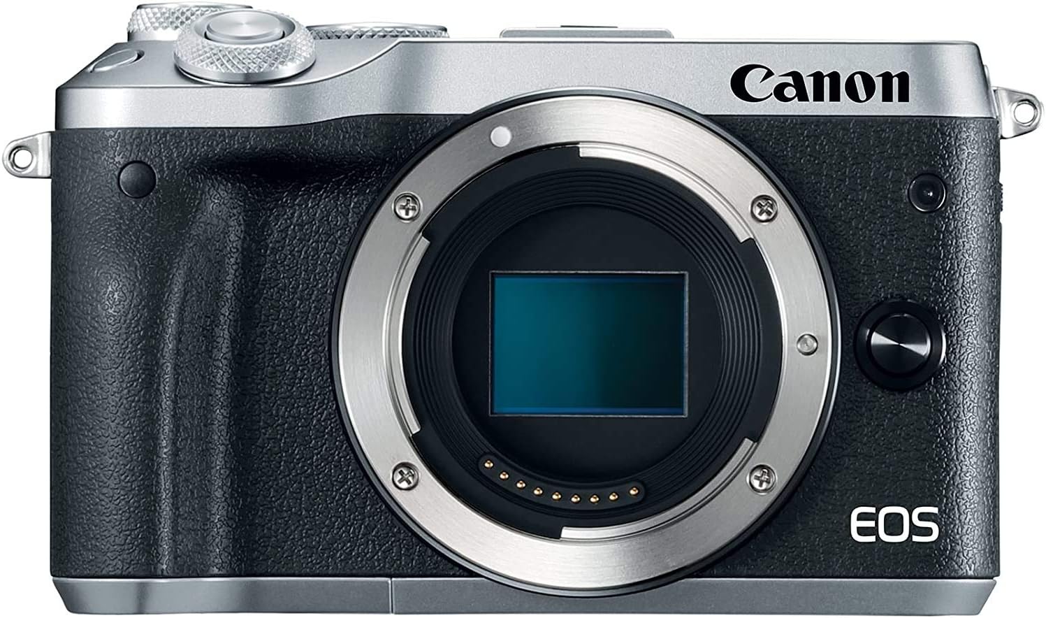 Amazon.com : Canon EOS M6 Body (Silver) : Electronics