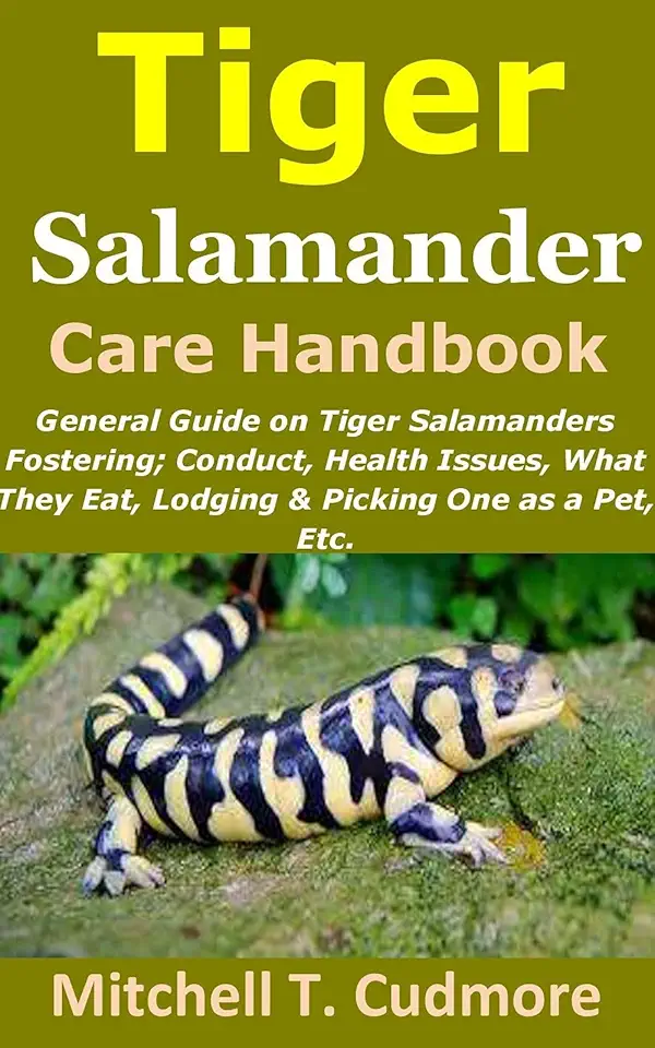 The Lifecycle Of Salamanders: What They Transform Into | PetShun