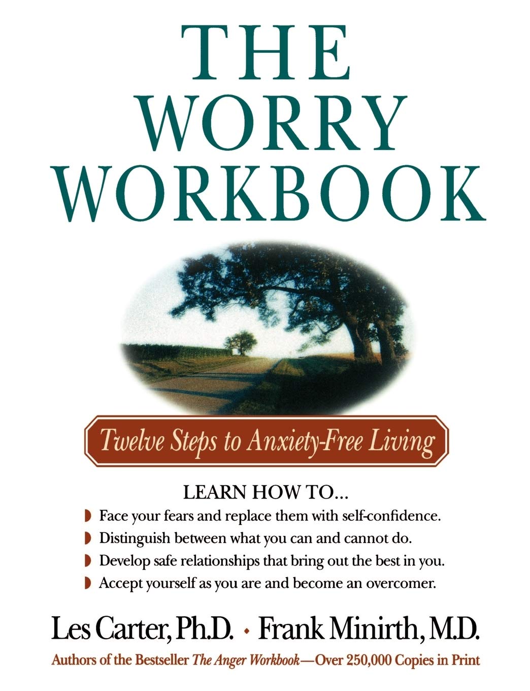 The Worry Workbook: Twelve Steps to Anxiety-Free Living: Carter, Les ...