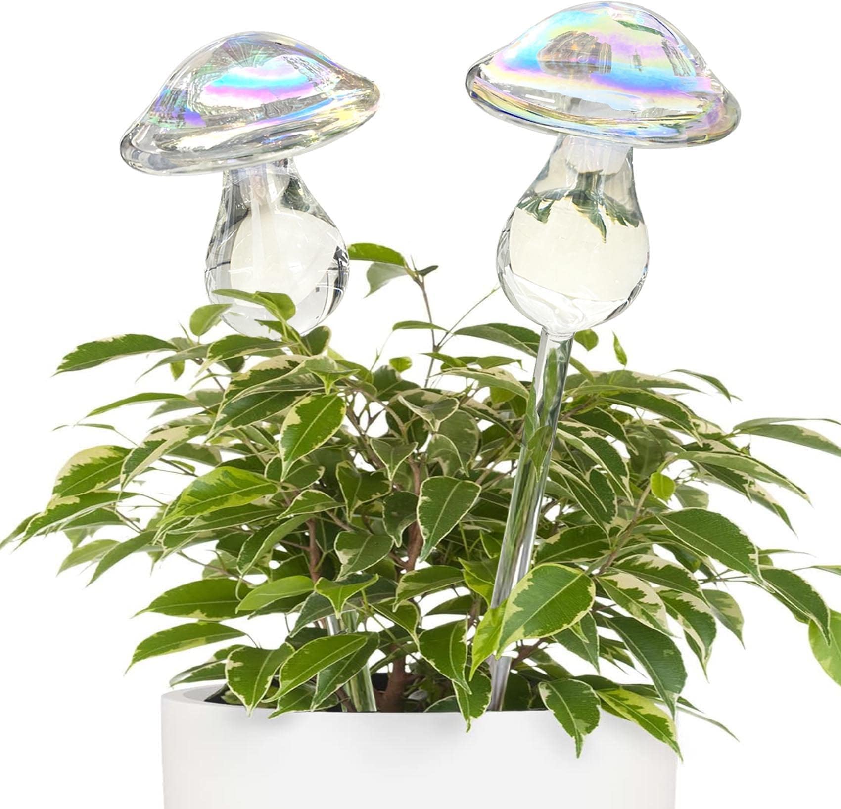 Amazon.com: LEDERA Plant Watering Globes, Clear Glass Rainbow Mushroom Self Watering Spikes ...