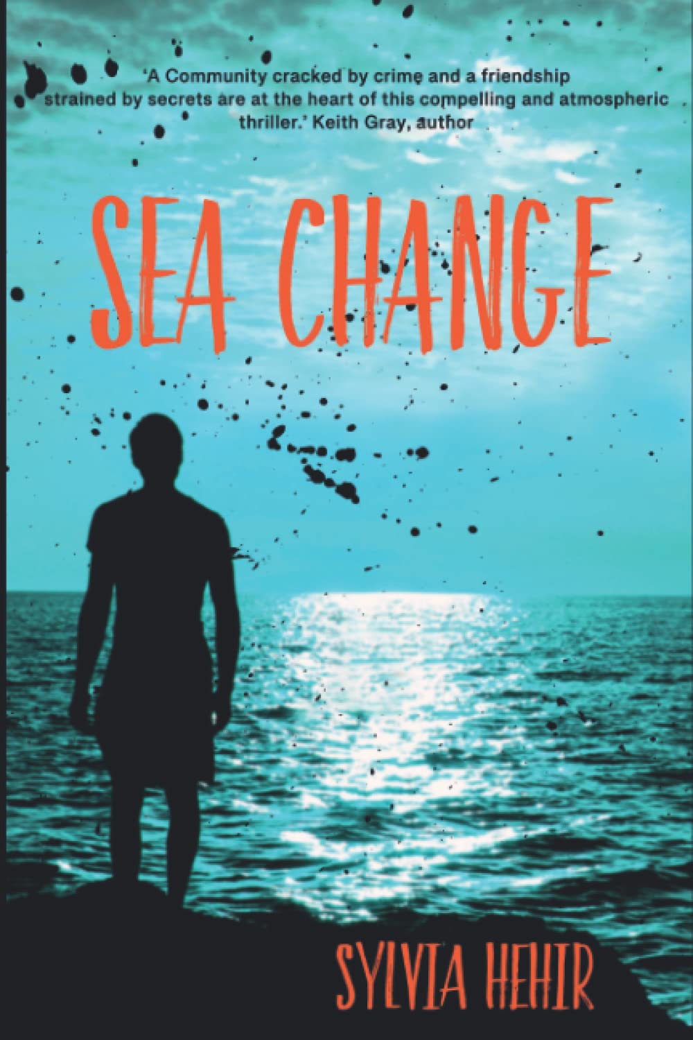 Sea Change: Hehir, Sylvia: 9781913510237: Amazon.com: Books