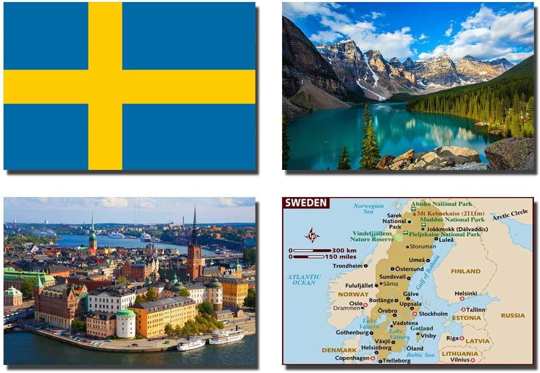 Amazon.com: REFRIGERATOR MAGNET Set of 4 Sweden Fridge Magnets – Sweden ...