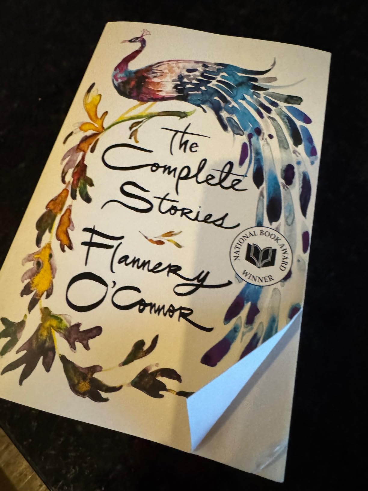 Amazon.com: The Complete Stories (FSG Classics): 9780374515362: O ...