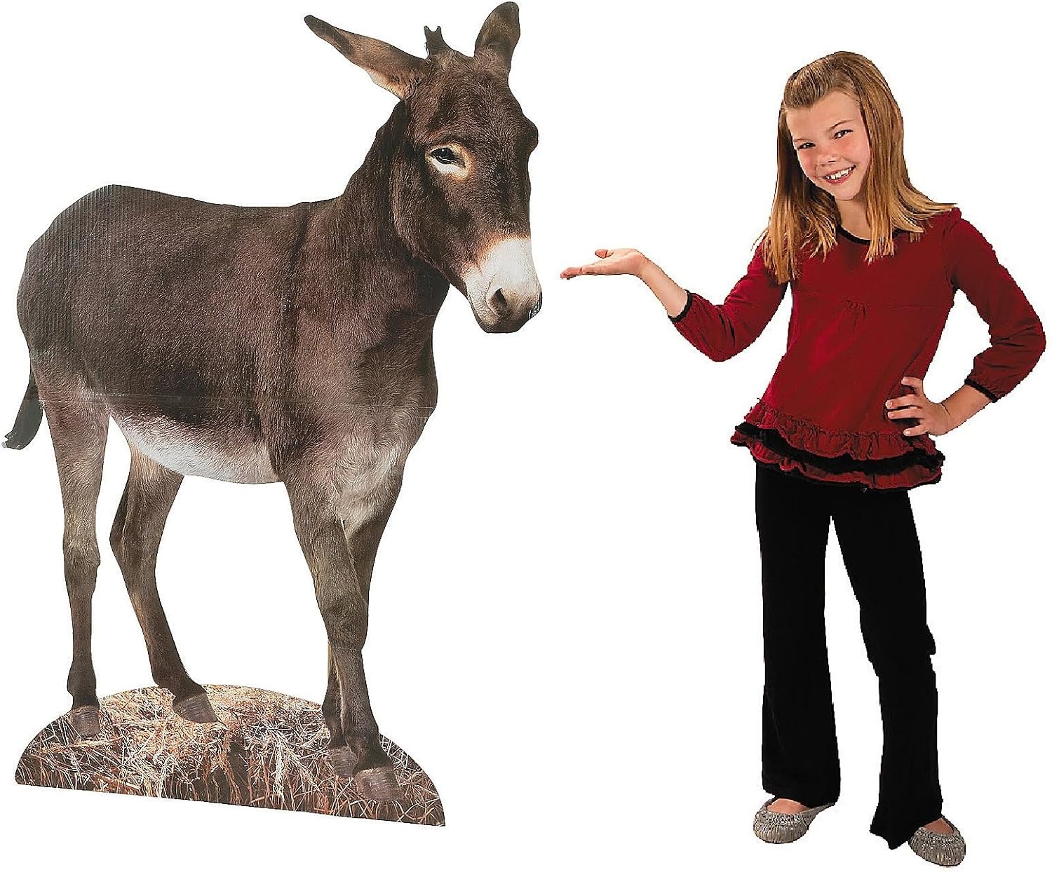 Amazon.com: Large Photo-Realistic Standing Donkey Printed Cardboard ...