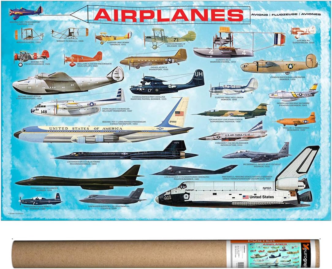 Amazon.com: EuroGraphics History Aviation Poster, 36 x 24 inch: Posters ...