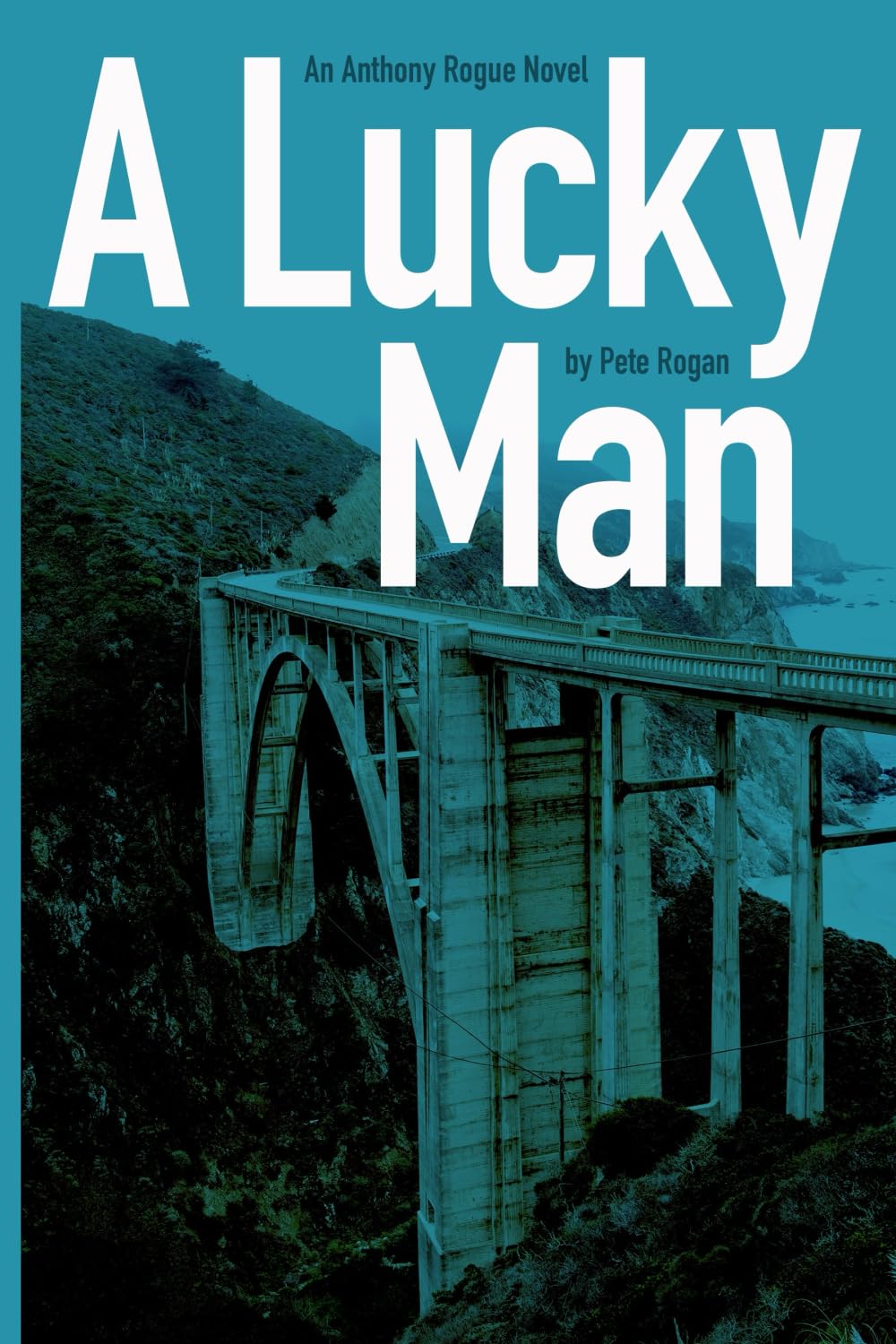 Amazon.com: A Lucky Man: An Anthony Rogue Novel: 9798218390693: Rogan ...
