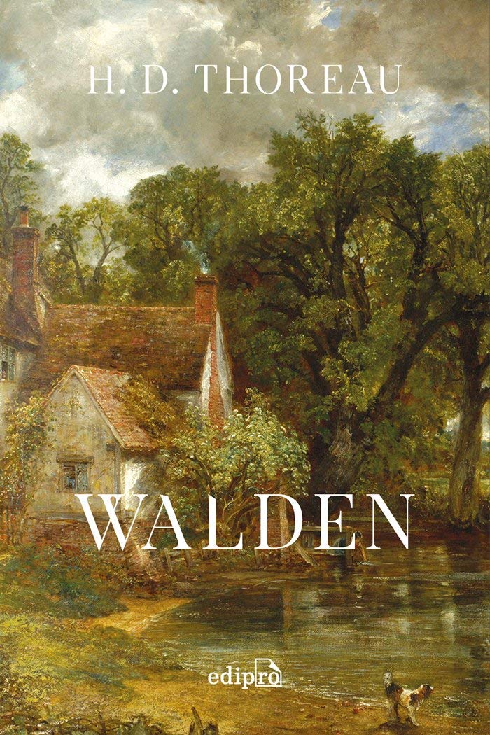 Livro Walden Camisa Walden, Camiseta Walden By Henry David Thoreau,