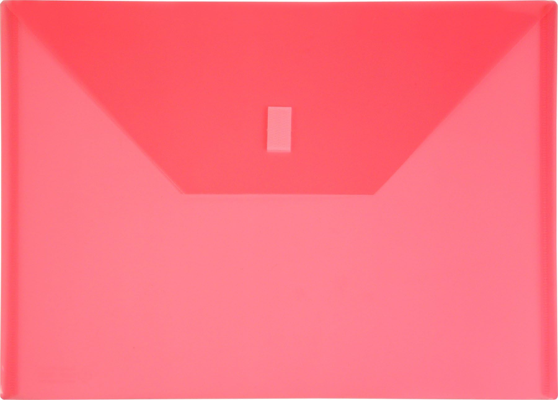 Amazon.com : Lion Design-R-Line Poly Envelope, 9-3/8 x 13 Inches ...