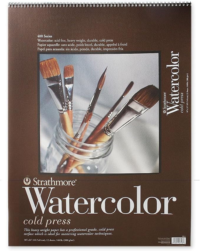 Amazon.com: Strathmore 440-5 Strath W.Color 400 18X2412SHT 130LBS, 18 ...