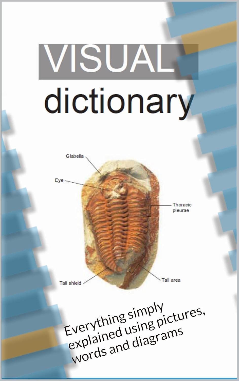 Amazon.com: Visual Dictionary: Everything simply explained using ...