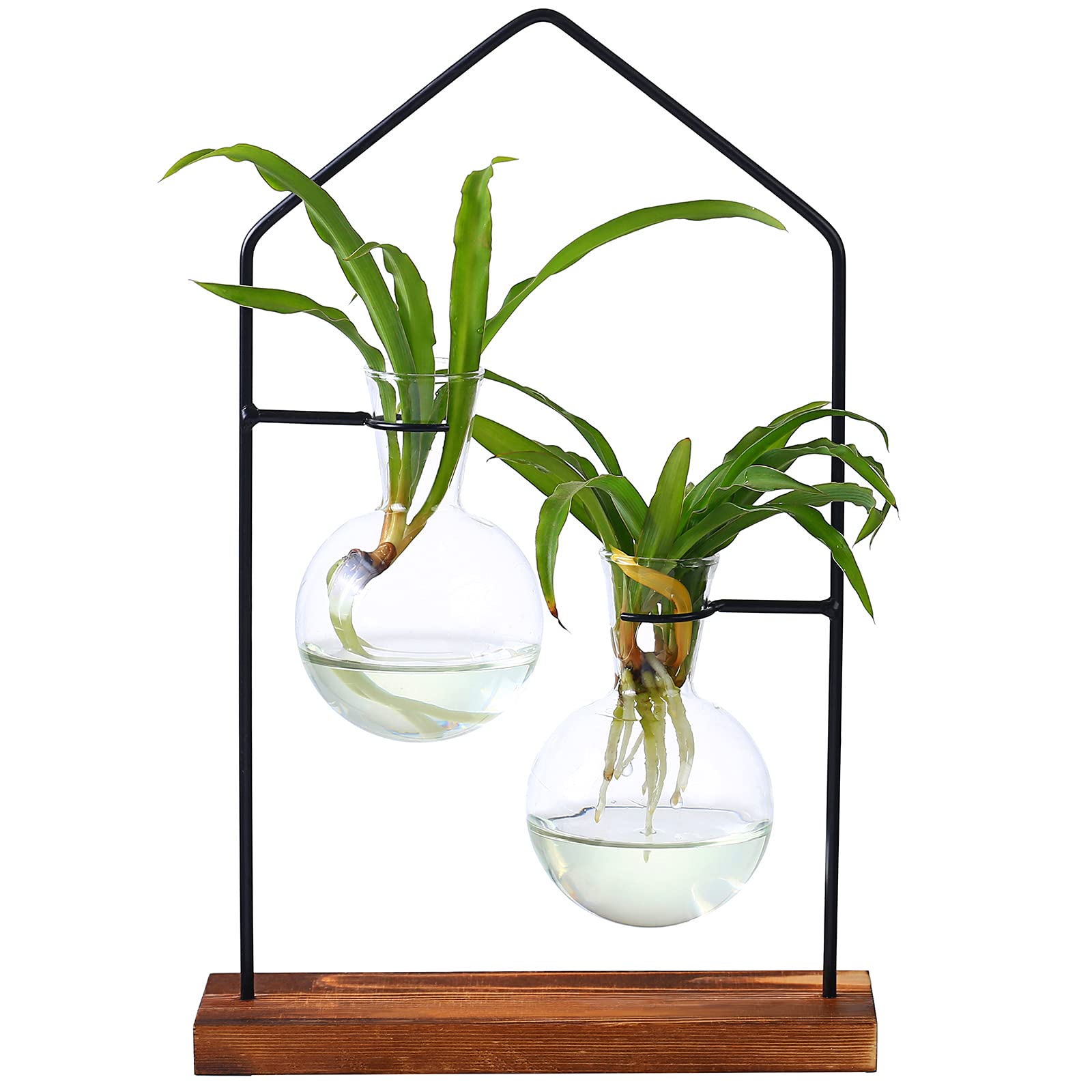 Buy Propagation Station Indoor for Hydroponic , Terrarium for Air s ...