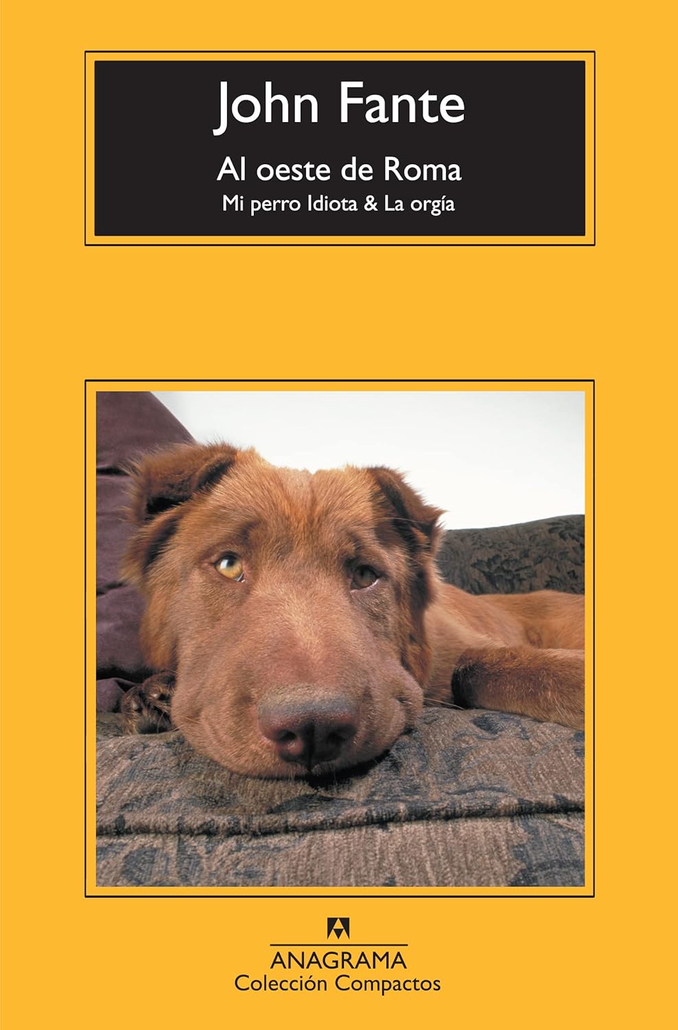 Al oeste de Roma: Mi perro Idiota & La orgía: Fante, John, Moya Valle ...