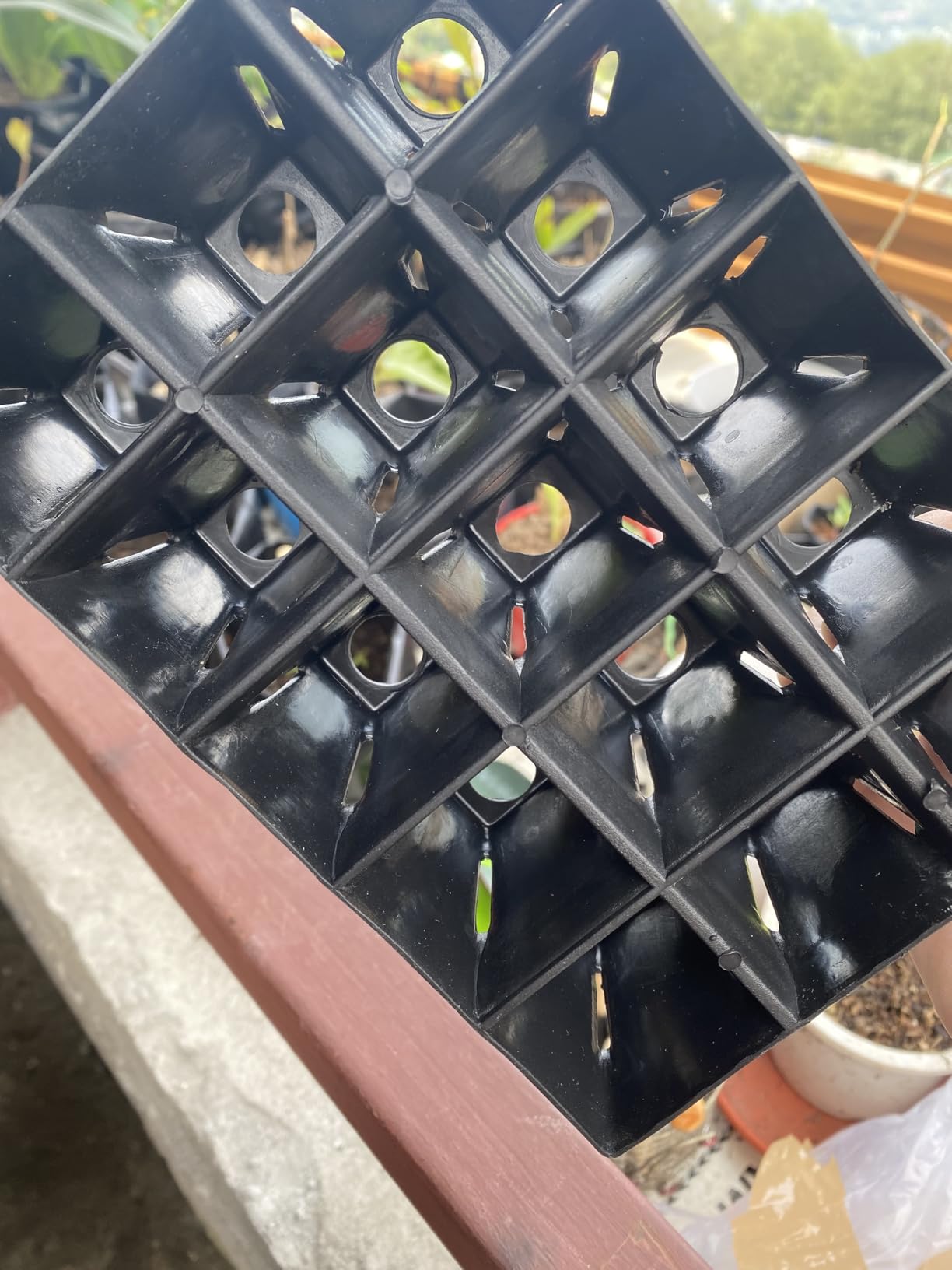 Farm Genie Plastic Seedling Trays | Pack of 2 | Germination Tray for ...