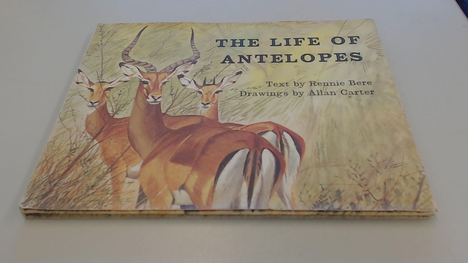 The Life of Antelopes (Bodley Head Natural Science Picture Books): Bere ...