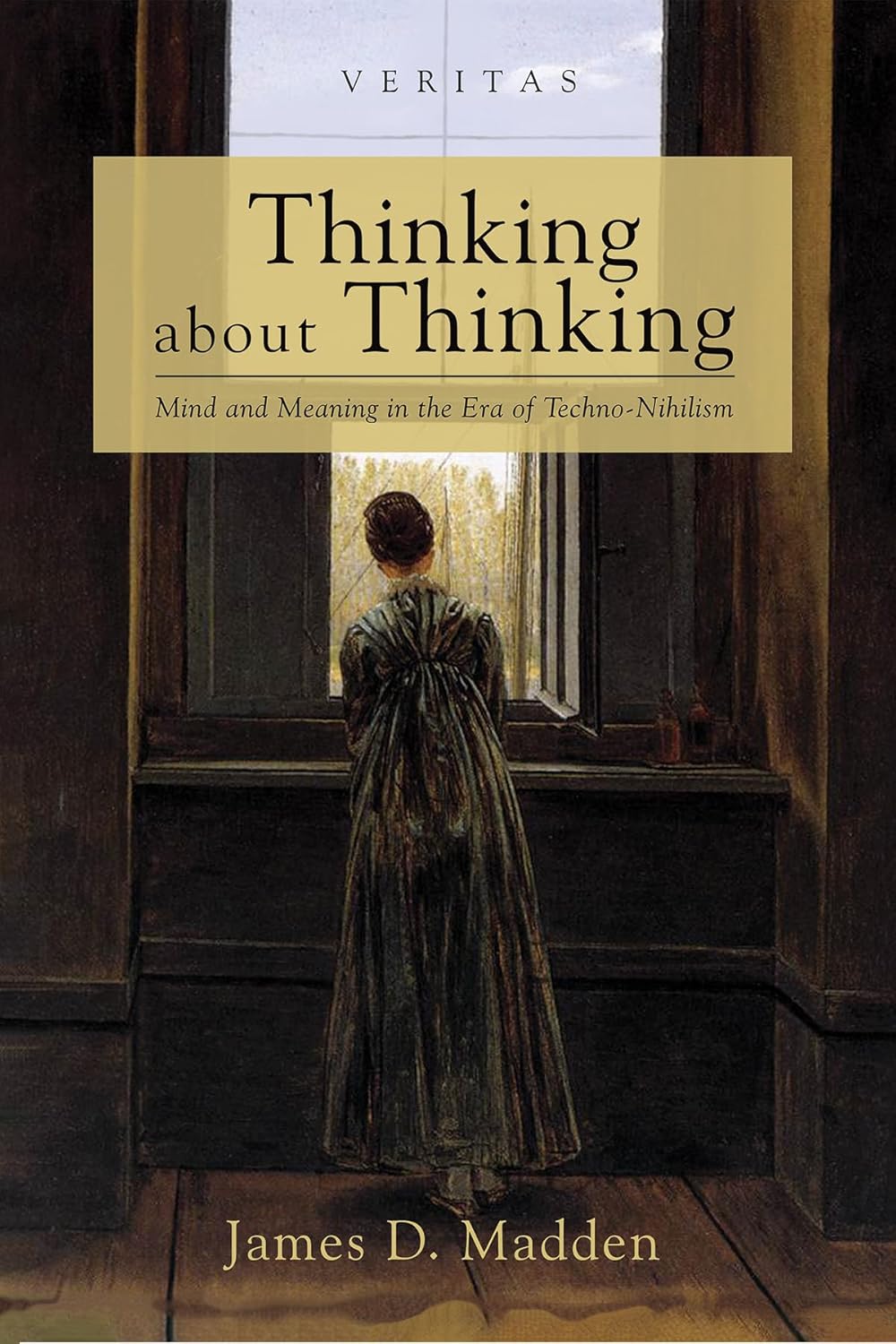 Thinking about Thinking (Veritas): Madden, James D: 9781666754186 ...